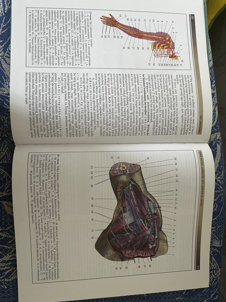 Atlas Odam Anatomiyasi 1,2 Qism N.K.AHMEDOV