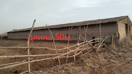 200 млн хаммеси. Келисимли Беккем Россискии Курлыс материаллары