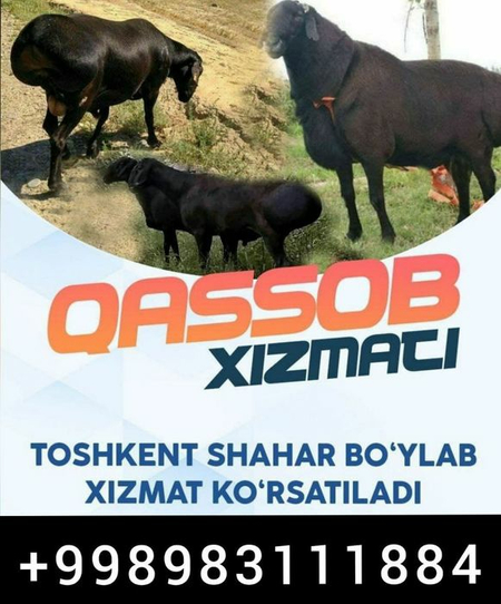 Qassob xizmati, Кассоб хизмати
