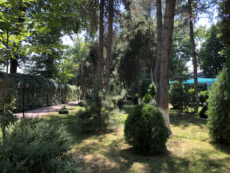 Дача, DACHA, Сдается ДАЧА, бывший политотдел (Дустлик) Юкори-Чирчик