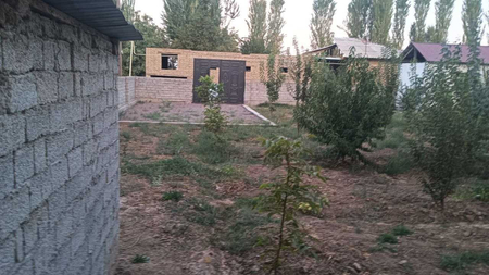 Сдам дом в Паркенте 8 соток