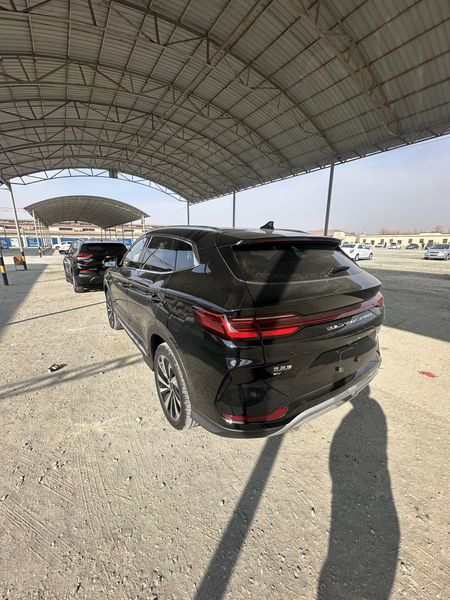 byd champion 2024 elektromobil