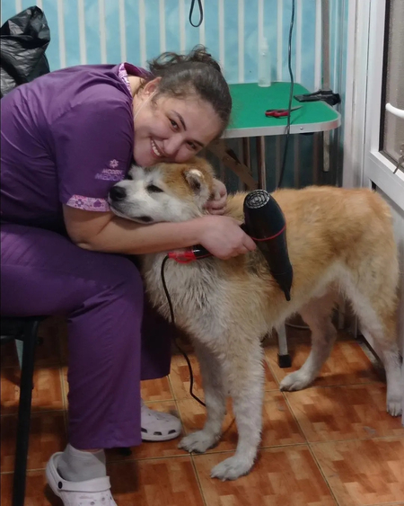 Стрижка, вычес, купка и выгул животных