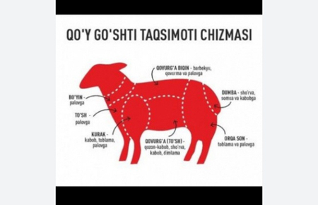 Qassob xizmat QO'Y VA QO'CHQOR soyamiz