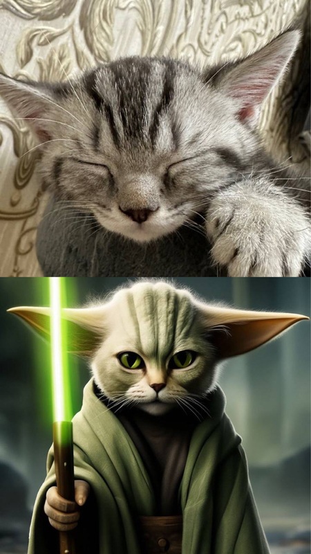 Котенок скоттиш страйт мальчик