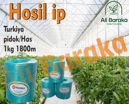 Plyonka, korea quyosh, korea sangjin, xitoy eva,  hosil ip,