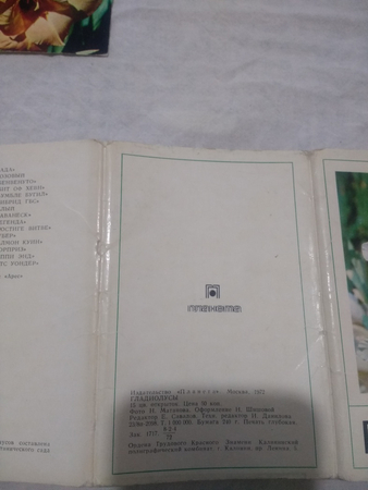 Коллекционные  открытки  ГЛАДИОЛУСЫ 1972 год
