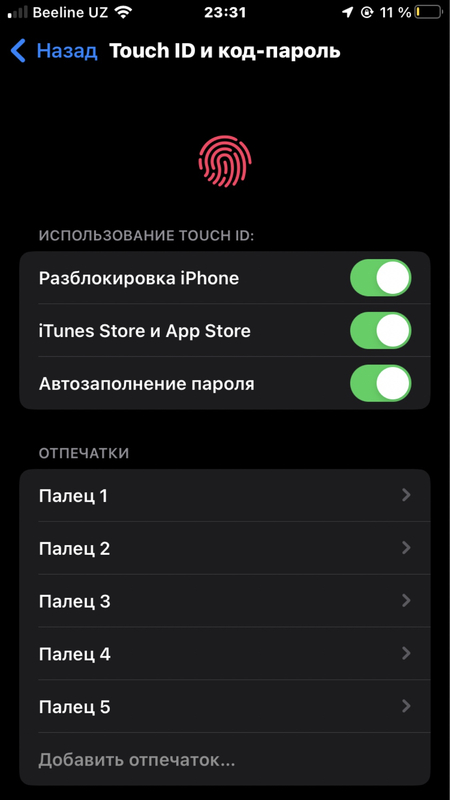 Iphone 8 ikta aybi borr