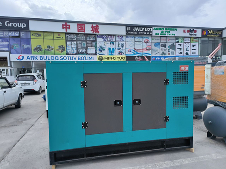 Dizel generator/ dvijok 10-800 kw