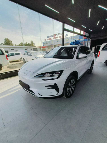 Endi nalichida CHAMPION EDITION дерзкий кўринишиga