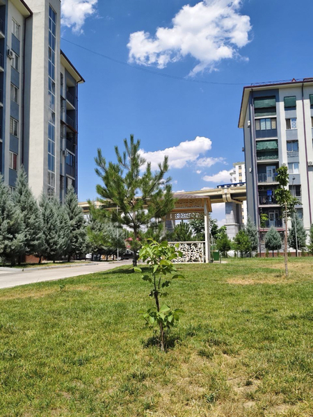 Срочно продается 3х комнатная квартира