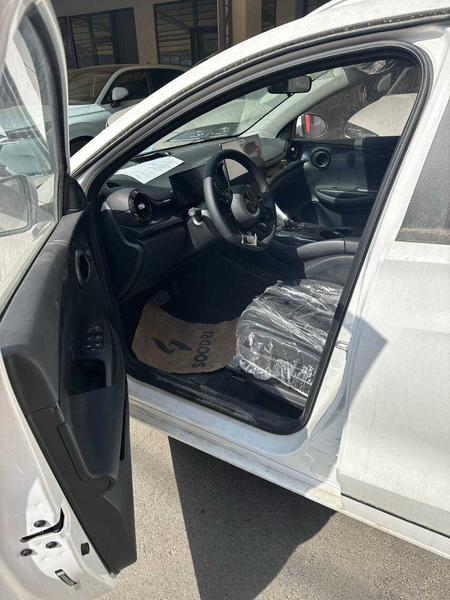 BYD E-2 Luxury 405