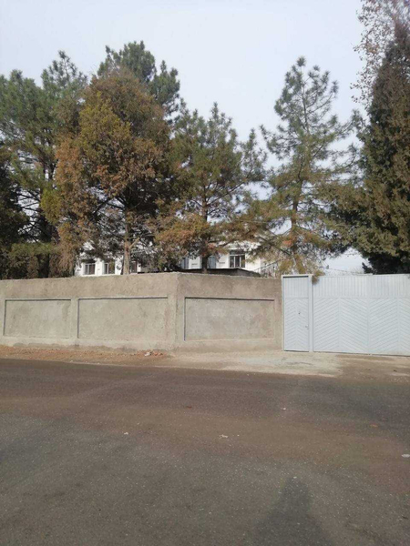 Янгиюль.От Ташкента 28км.Продам 3 уровневое здание на 80 сотках.