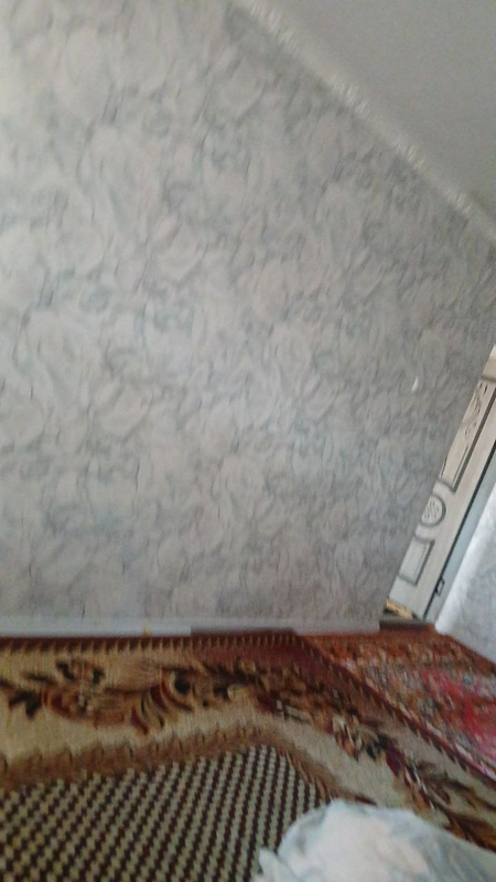 2 хонали квартира сотилади