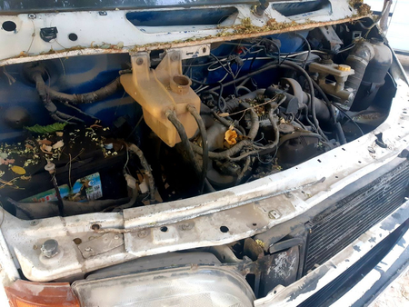 Ford sotiladi benzin yili 1993