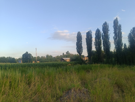 Toshkent vil Yangiyol tumani ittifoq mahallasi