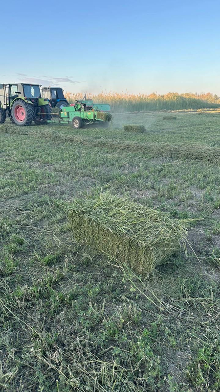 Беда пресс сотилади