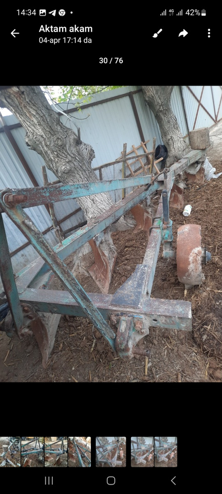Pulug arionga beshtalik