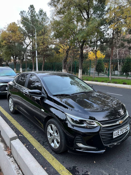 Onix primyer kojniy salon