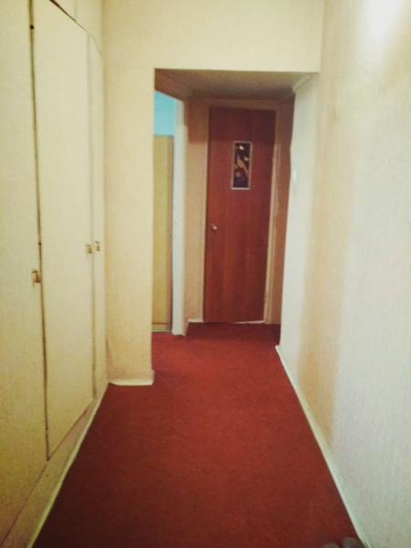 Продам квартиру ! Алгоритм ! Кизил Шарк!