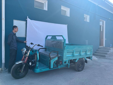 Elektira murave wmx