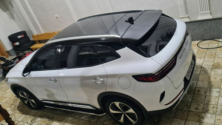 Byd song plus holati idealni