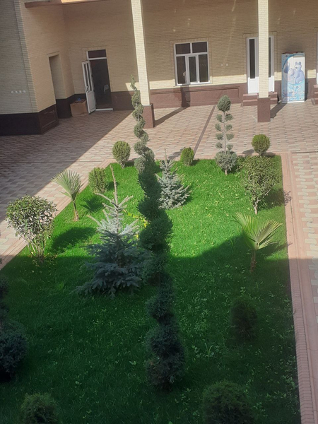 Arzon va Sifatli Gazon
