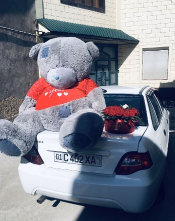 TEDDY 1+1 Teddi Optom Narx