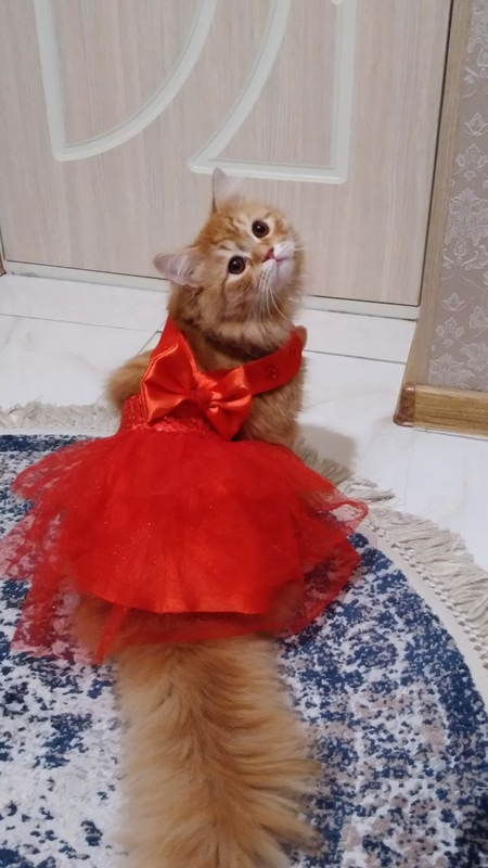 Мухаррамхон тухтакузиева