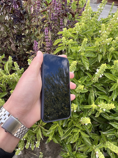Iphone xr 128 tali srochna