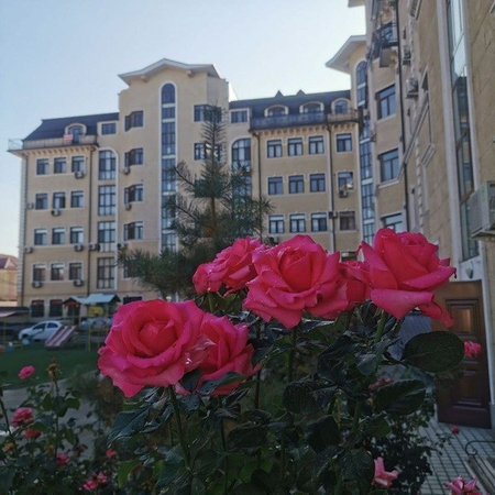 Аренда квартиры.