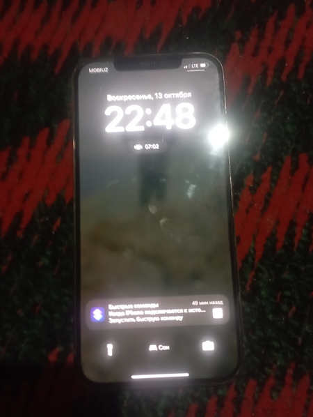 iPhone 12 pro max ideal