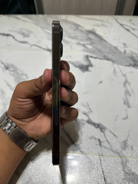 iPhone 13 pro max 256 gb LLA