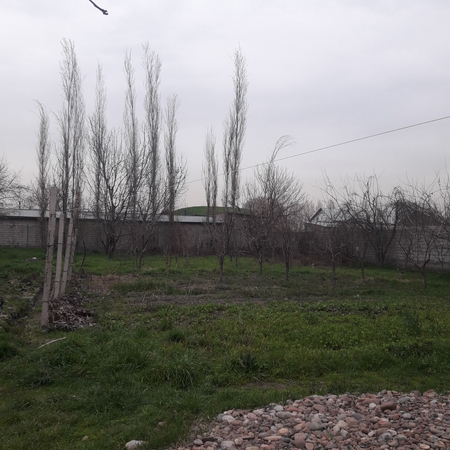 Недвижимости Земля
