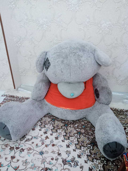 Ayiq teddiy 3 met