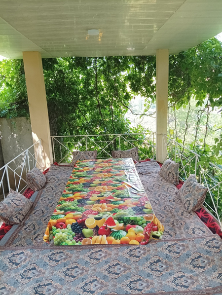 DACHA BOCHKA SKITKA. Oilaviy va ulfatlar uchun dacha!