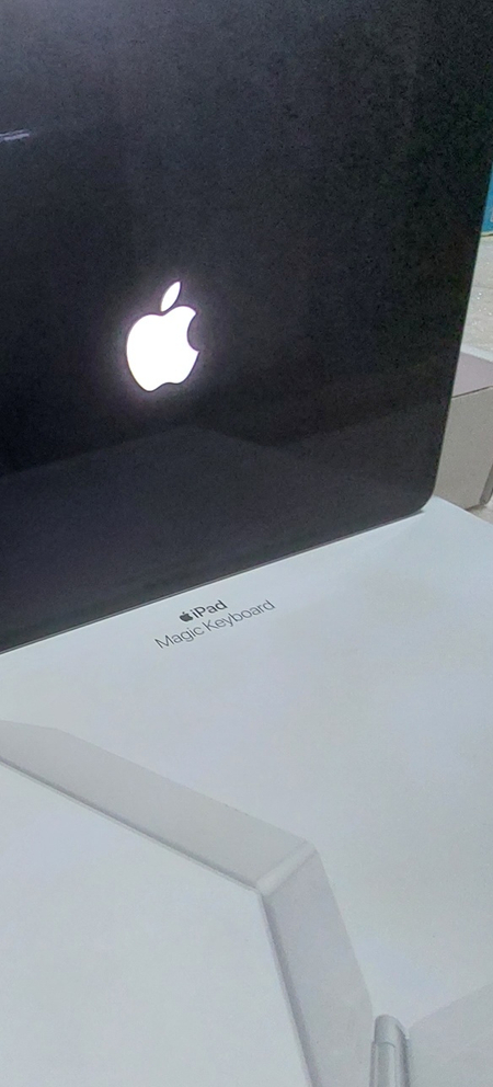 ipad pro 12.9 256 GB