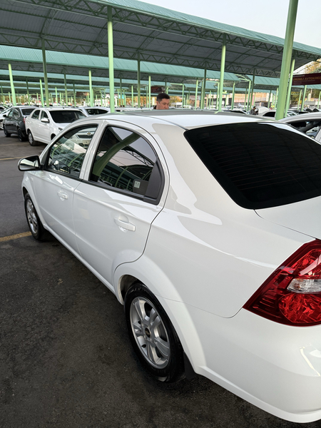 Nexia3 oq ideal holatda