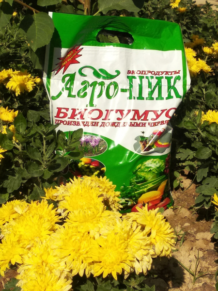 Оригинал биогумус