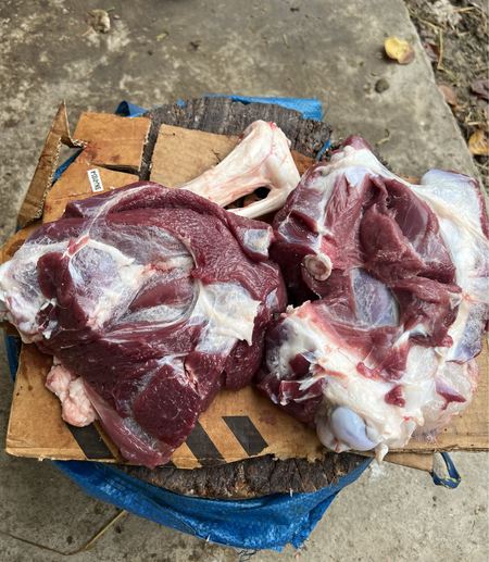 Halal Servis‼️halol go’sht, tirik qo’y, qassob