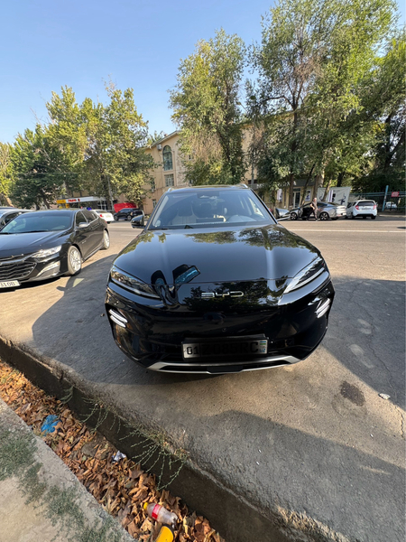 BYD CHampion 605 km