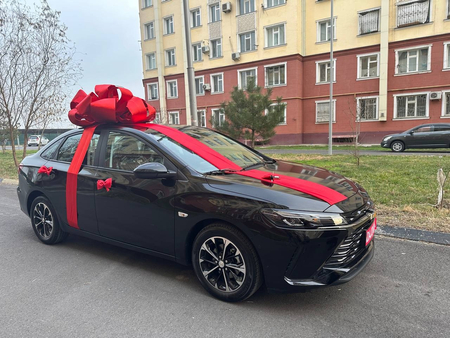 Podarichniy Bantik mashinaga, Byd mashinasi uchun