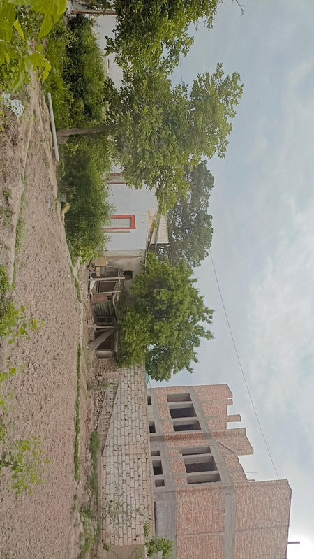 Manguzar mahalasidan 6 sotiq yer sotiladi
