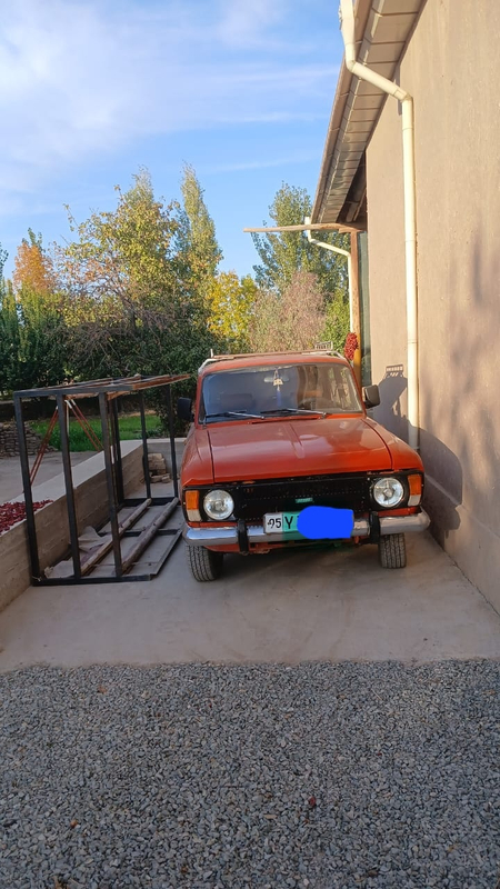mosina xolati alo egadan balonlari zor