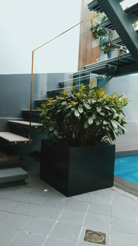 вазоны отHOUSE DECOR