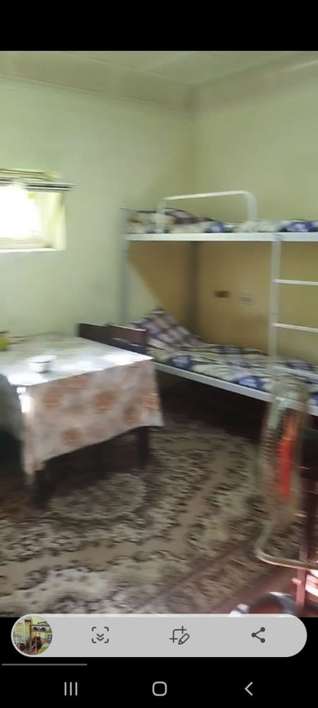 Kivartira quyaman faqat ustitenlar qoʻyiladi