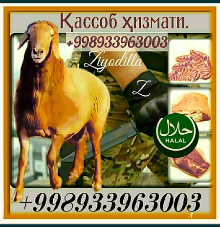 Қассоб Qassob ҳизмати.
