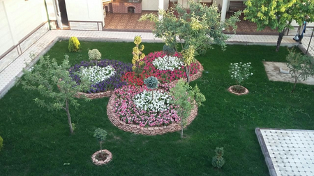 Ландшафтний дизайн,газон,папиной система