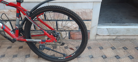 Velosiped pegion