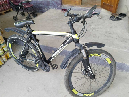 Velosiped FRED 28